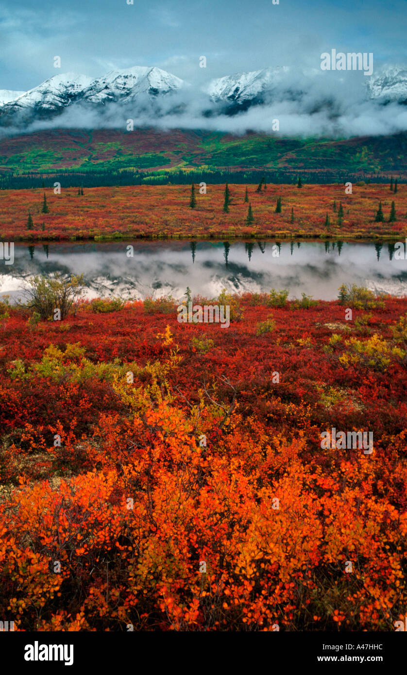 Alaska im herbst hi-res stock photography and images - Alamy