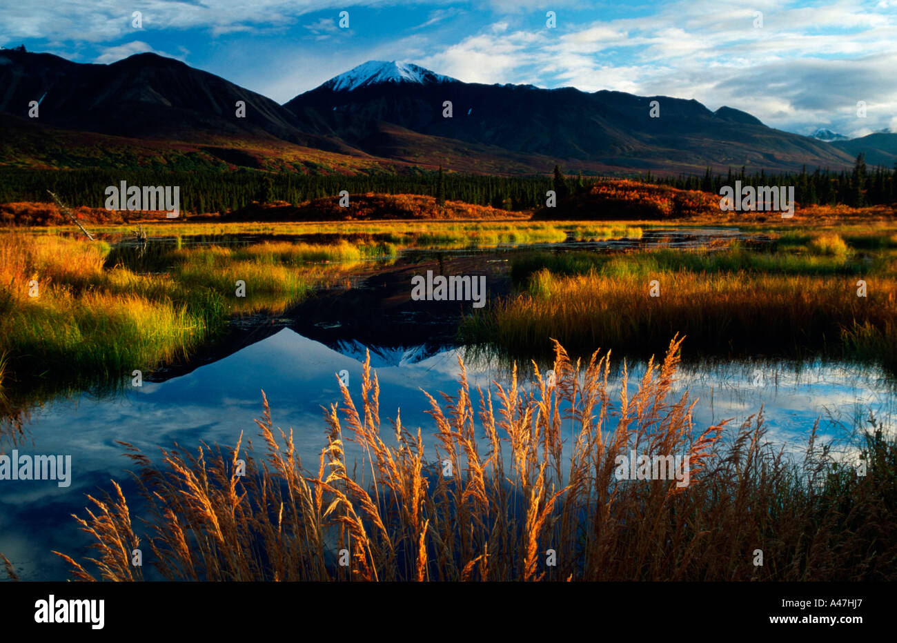 Fluss alaska hi-res stock photography and images - Alamy