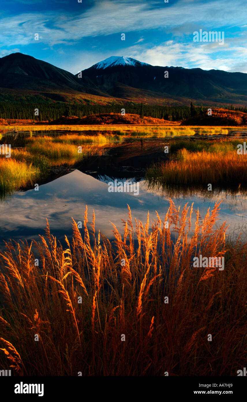 Fluss alaska hi-res stock photography and images - Alamy
