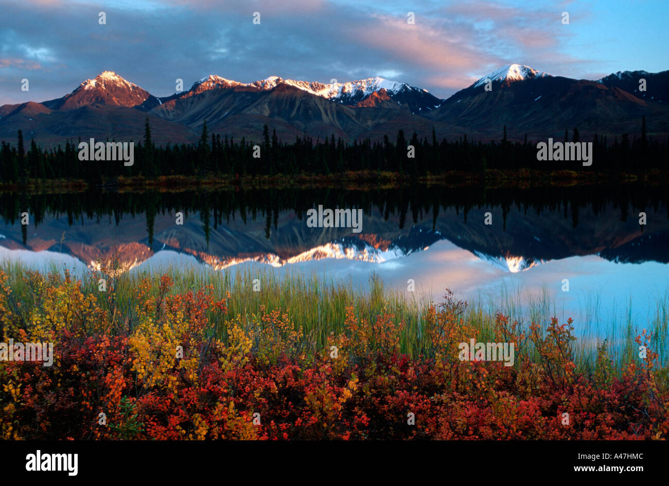 Nenana River Nenana-Fluss Stock Photo - Alamy