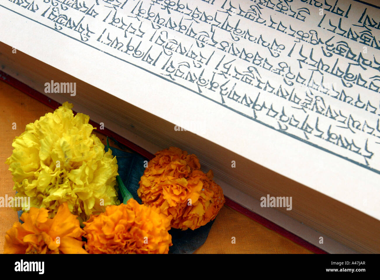 Pali language hi-res stock photography and images - Alamy