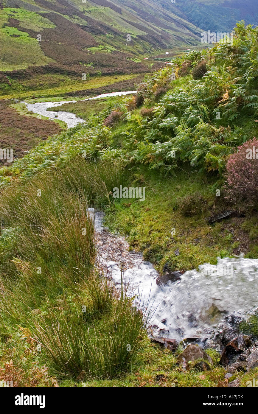 Gushing stream going into Mennock Water Mennock Pass Lowther Hills near ...