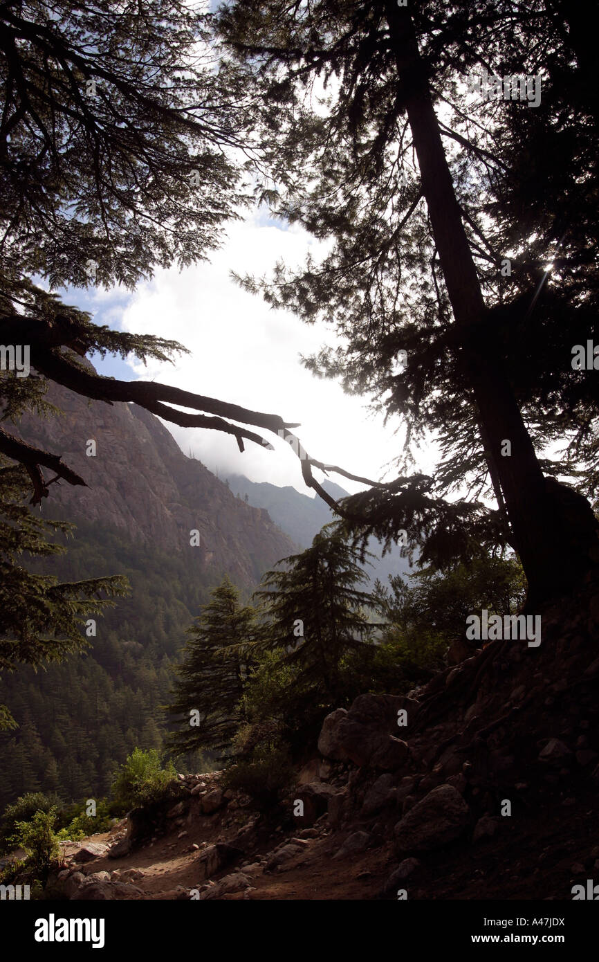The walking trail towards Gaumukh, the source of the holy river Ganges ...