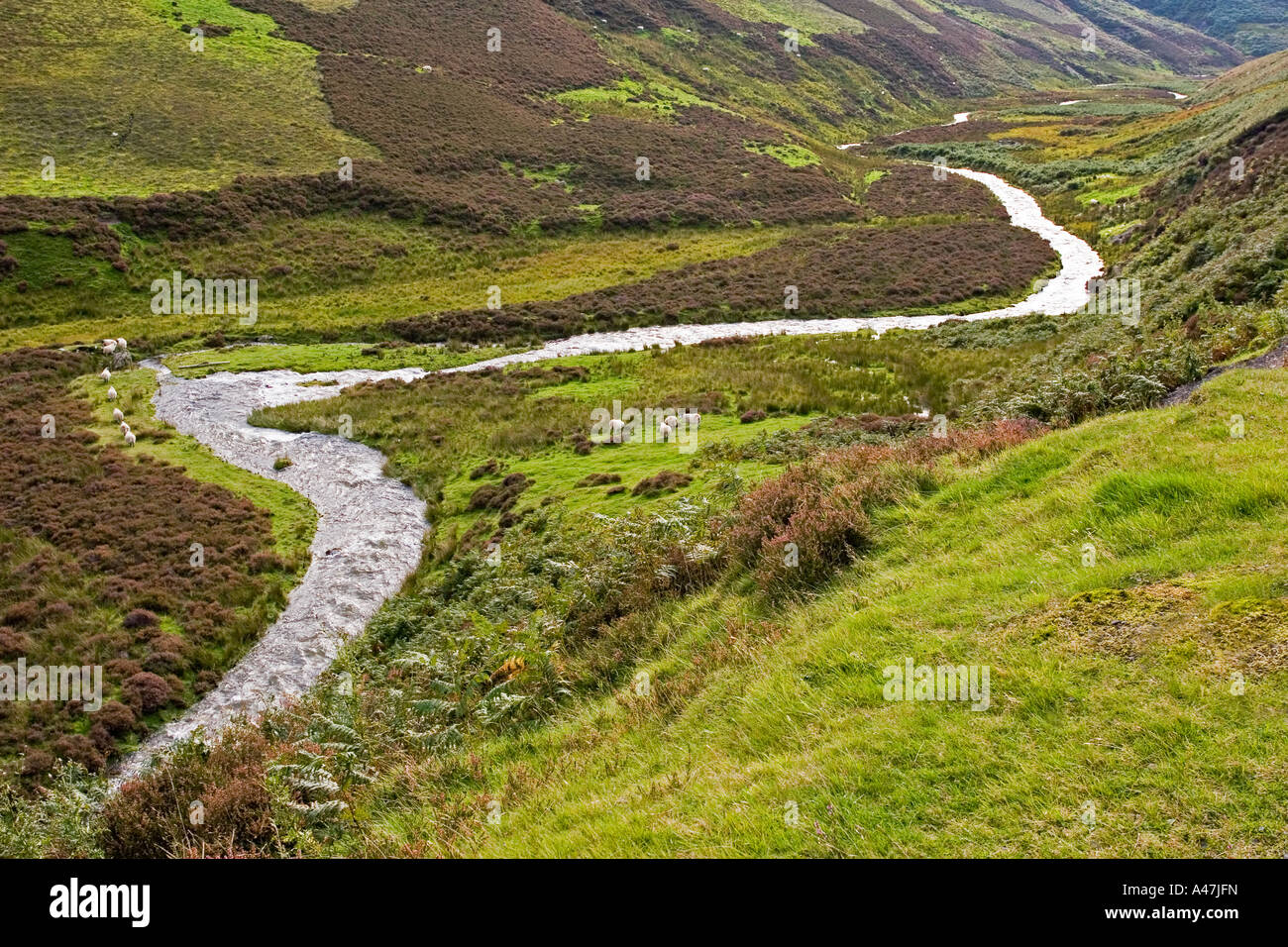 Mennock Water Mennock Pass Lowther Hills near Wanlochhead Scotland UK ...