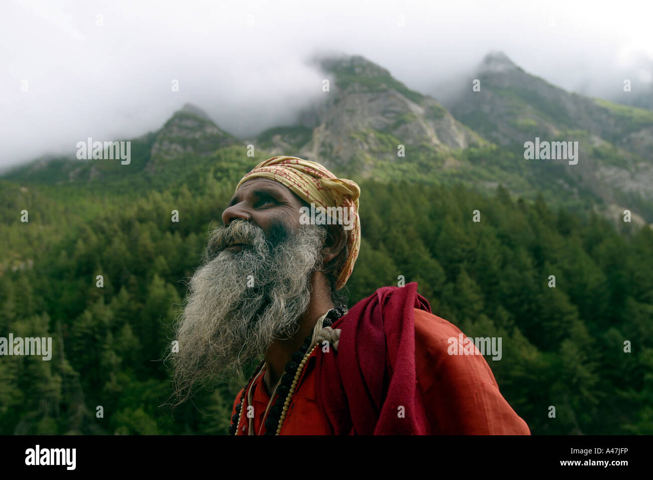 A Hindu pilgrim looks at teh scenery on his way to the holy source of ...