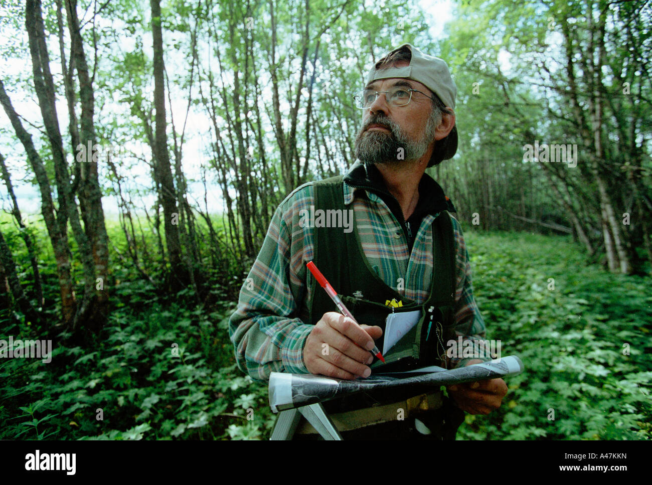 Forester hi-res stock photography and images - Alamy