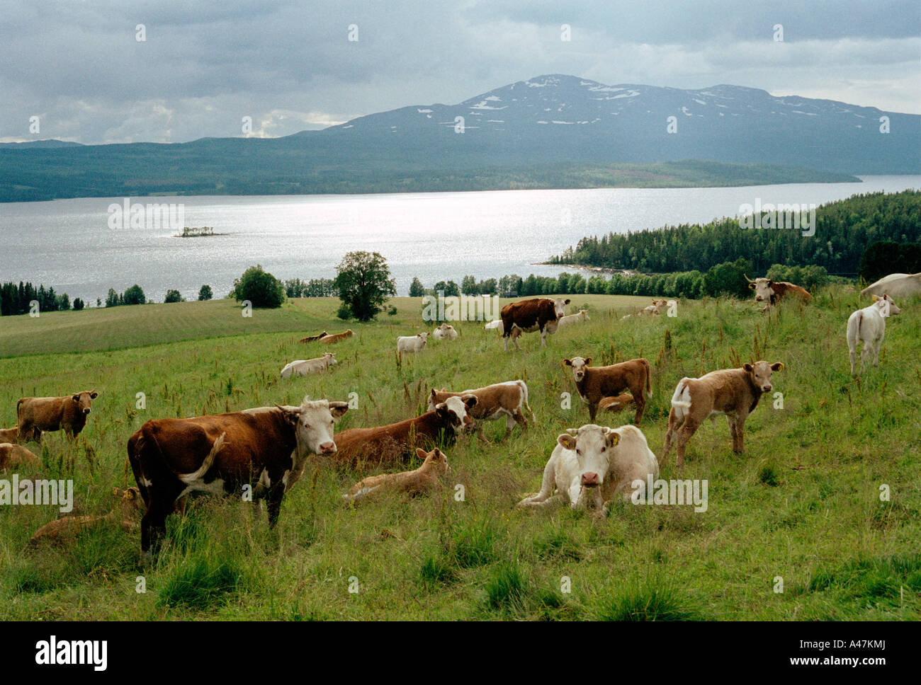 Riral hi-res stock photography and images - Alamy