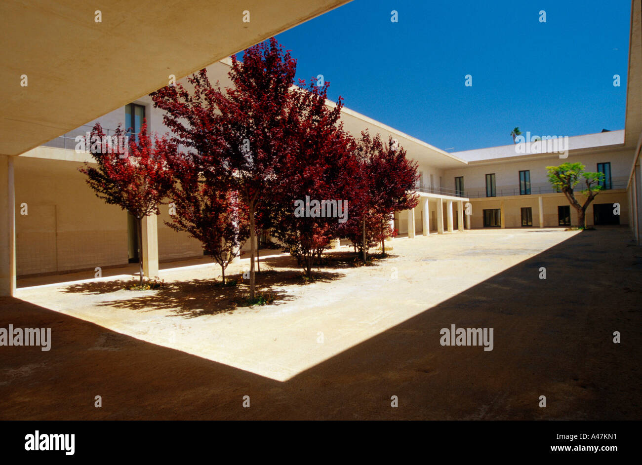 University alicante hi-res stock photography and images - Alamy