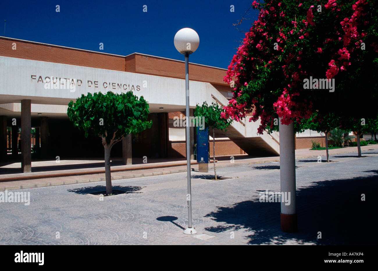 University of alicante hi-res stock photography and images - Alamy
