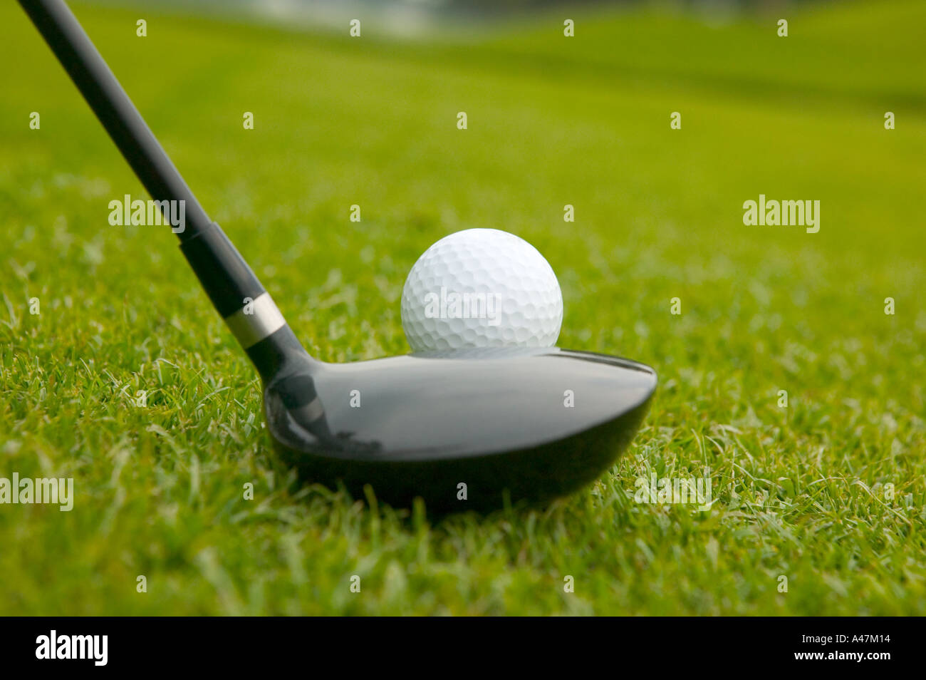 Golf ball and putter Stock Photo - Alamy