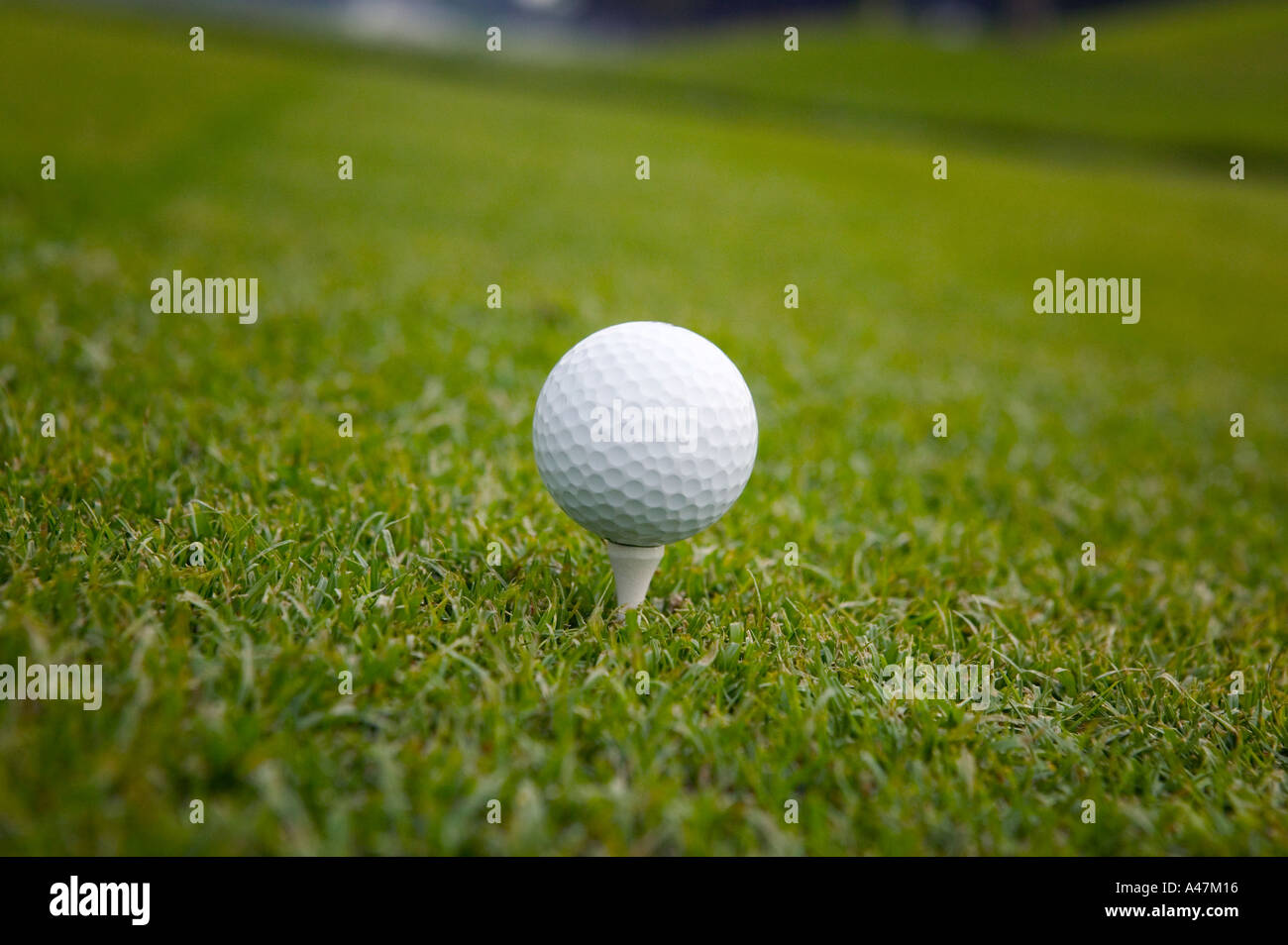 Golf ball on tee Stock Photo - Alamy