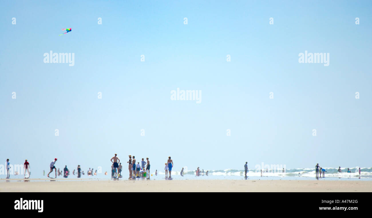 Swimmers on beach hi-res stock photography and images - Alamy