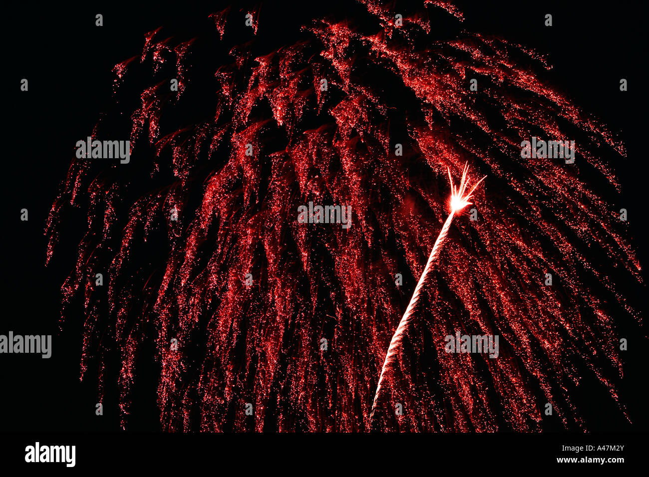 Fireworks in night sky Stock Photo - Alamy