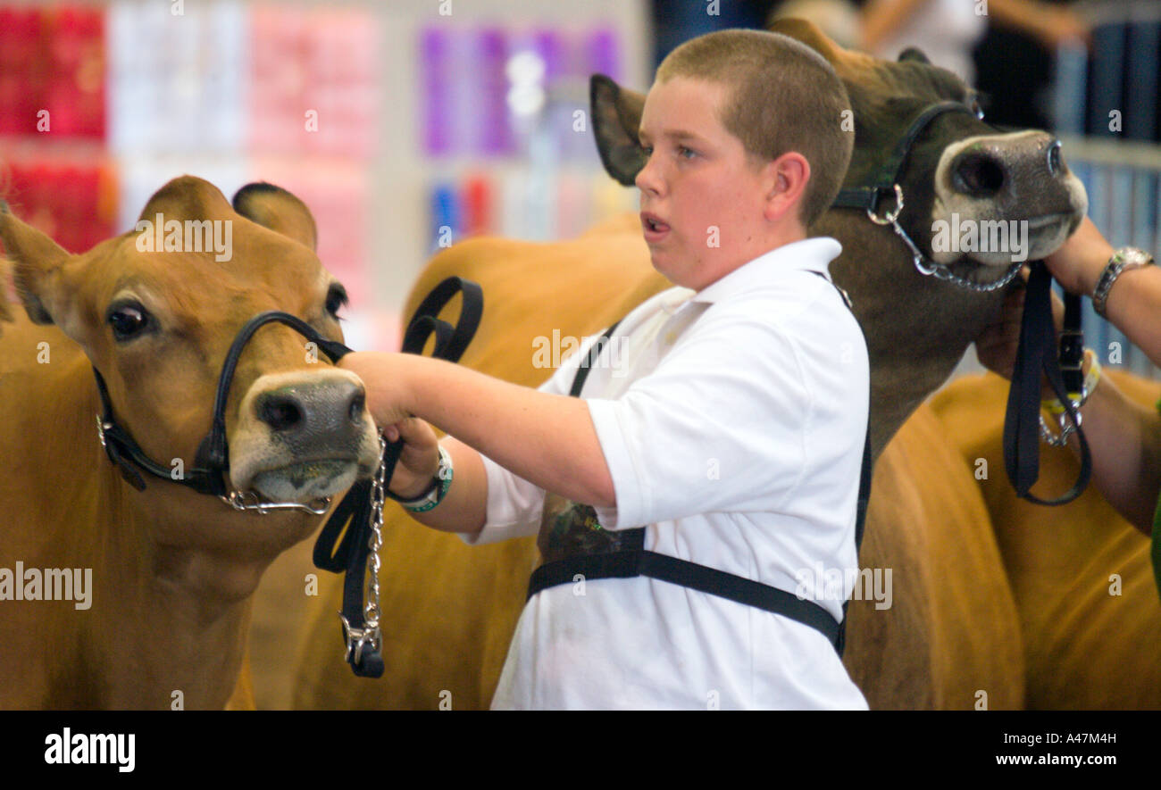 Boy with his cow at competition Wisconsin State Fair Stock Photo - Alamy