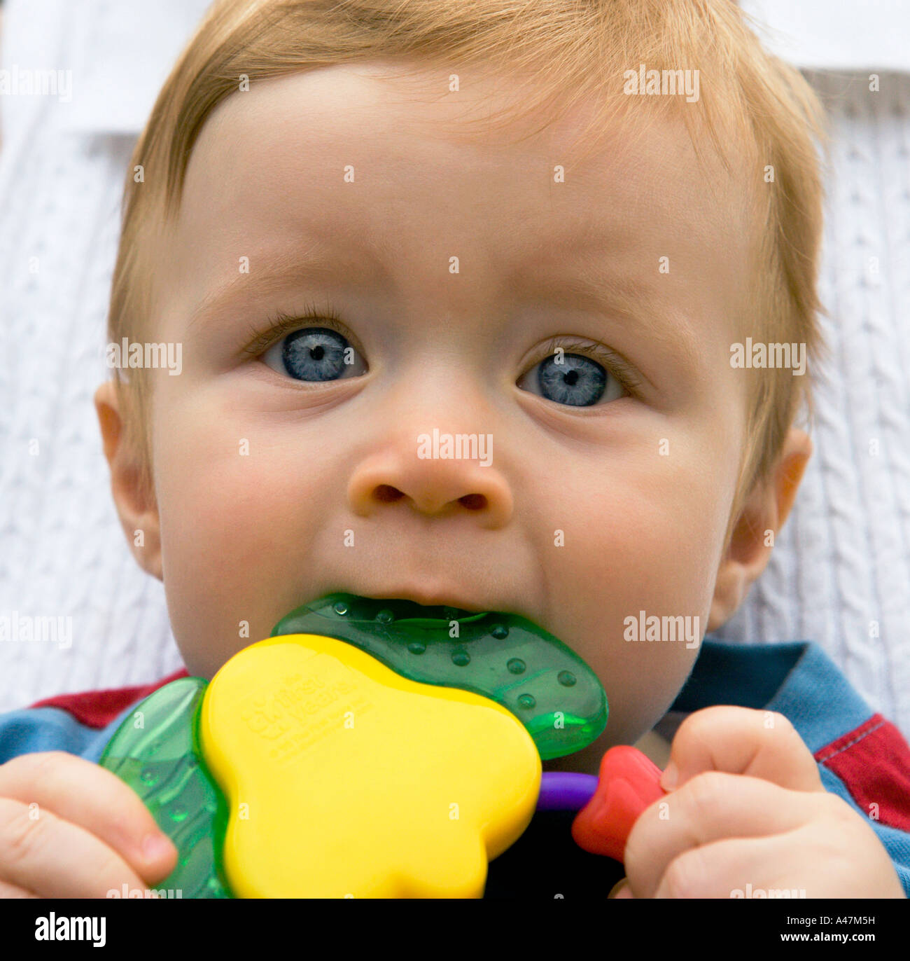 Baby boy chewing on rattle on moms lap Stock Photo - Alamy