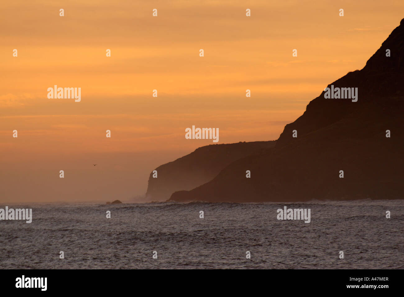Cliffs at dawn dropping into an energetic sea lit by warm hues of a ...