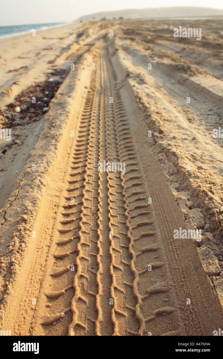 Tire tracks on the sandy beach Stock Photo - Alamy