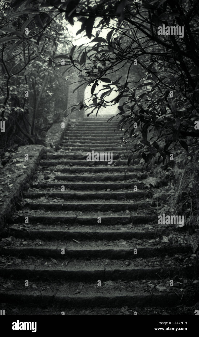 Stairs leading up to the bridge at rivington pike Stock Photo - Alamy
