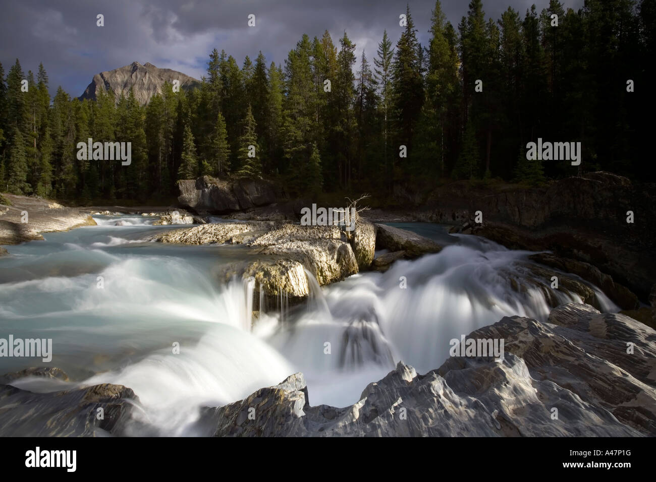 The natural bridge waterfall yoho national park Canadian rockies Stock ...