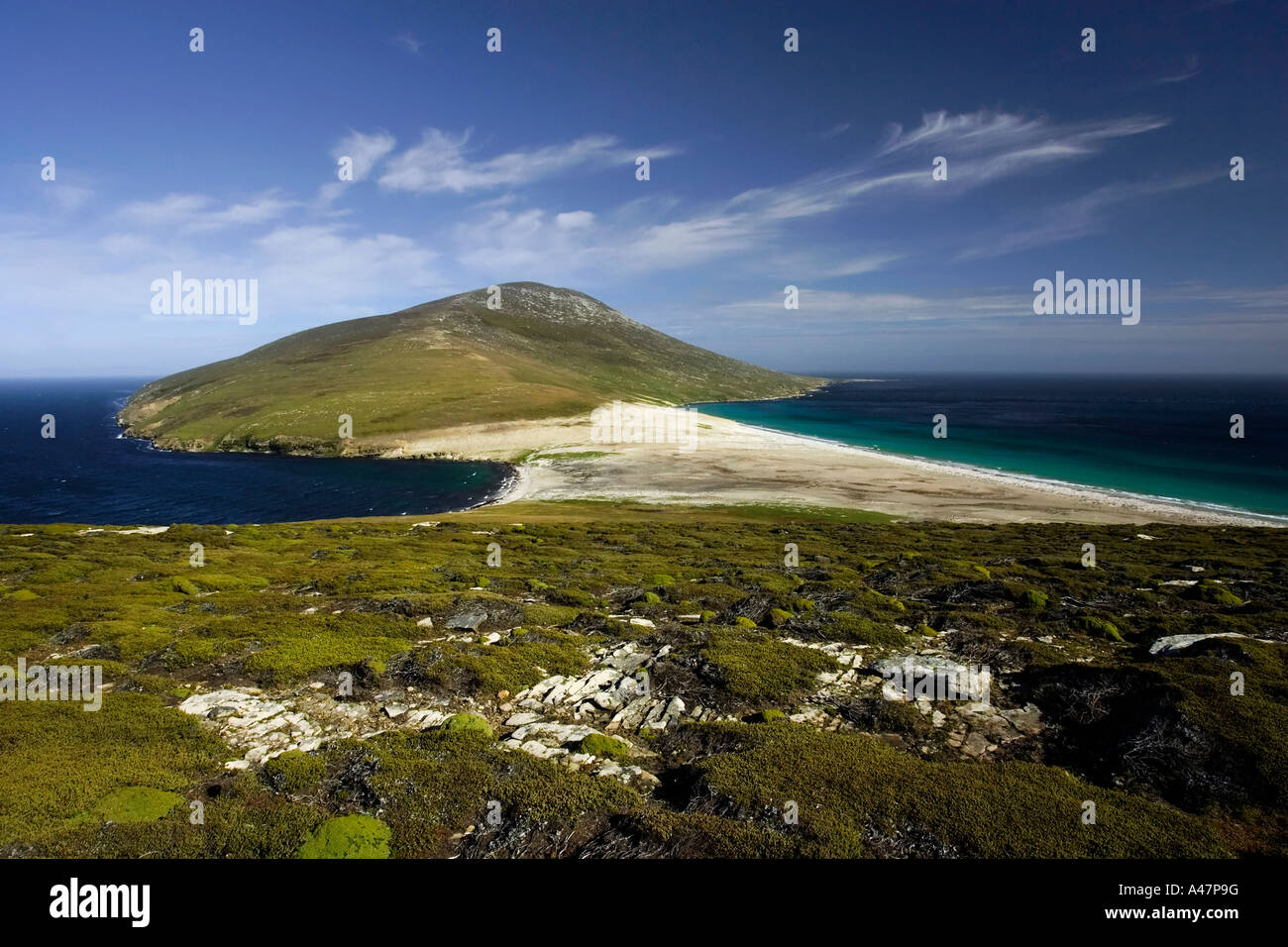 The Neck on Saunders Island Falklands Stock Photo - Alamy