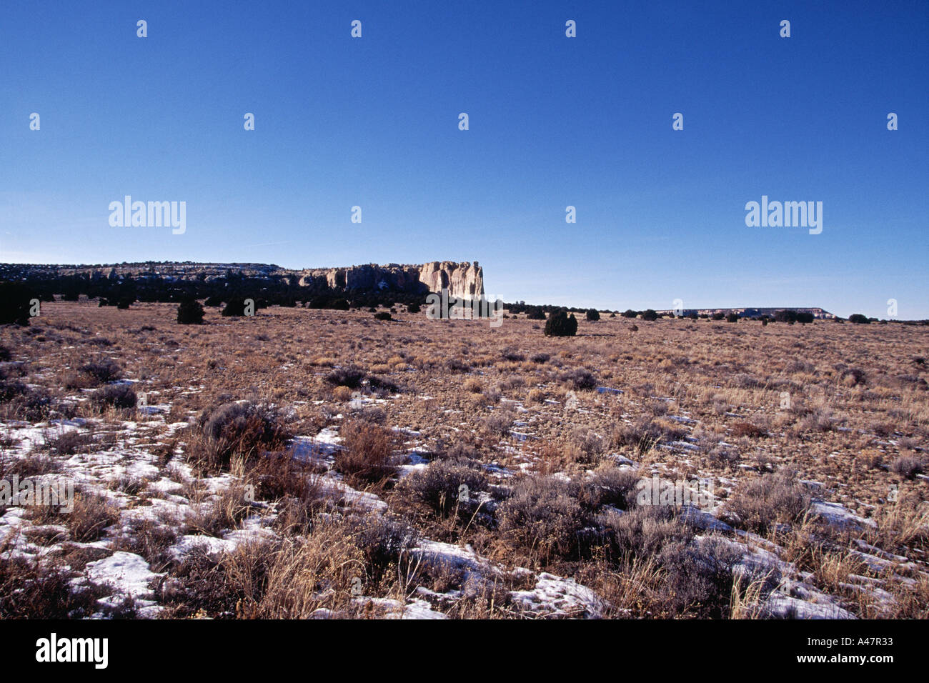 El Morro Sandstone Bluff, El Morro National Monument, New Mexico, USA ...