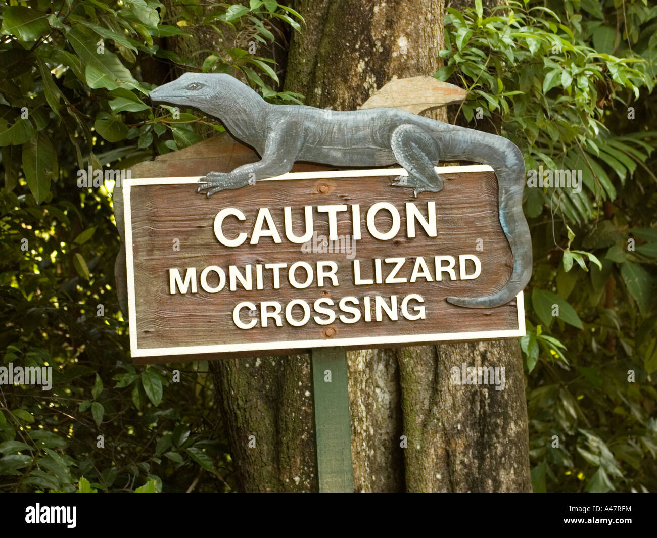 Lizard crossing sign hi-res stock photography and images - Alamy