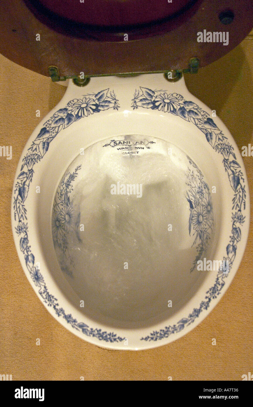 Old fashioned ornate style lavatory toilet flushing Stock Photo - Alamy