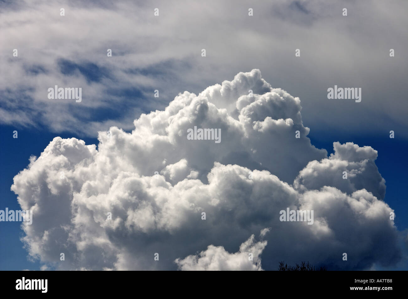 Towering cumulus cloud hi-res stock photography and images - Alamy