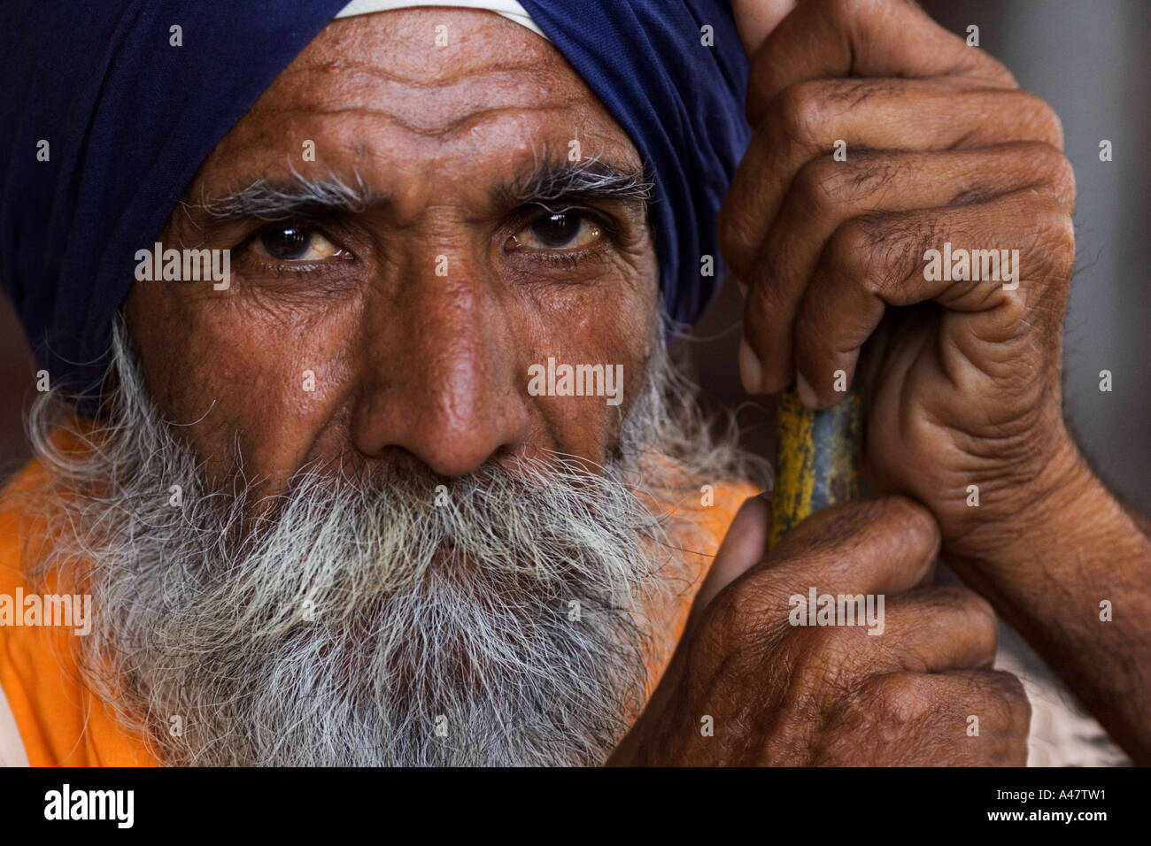 Portrait of an old Sikh man with turban and Walking cane India Stock ...
