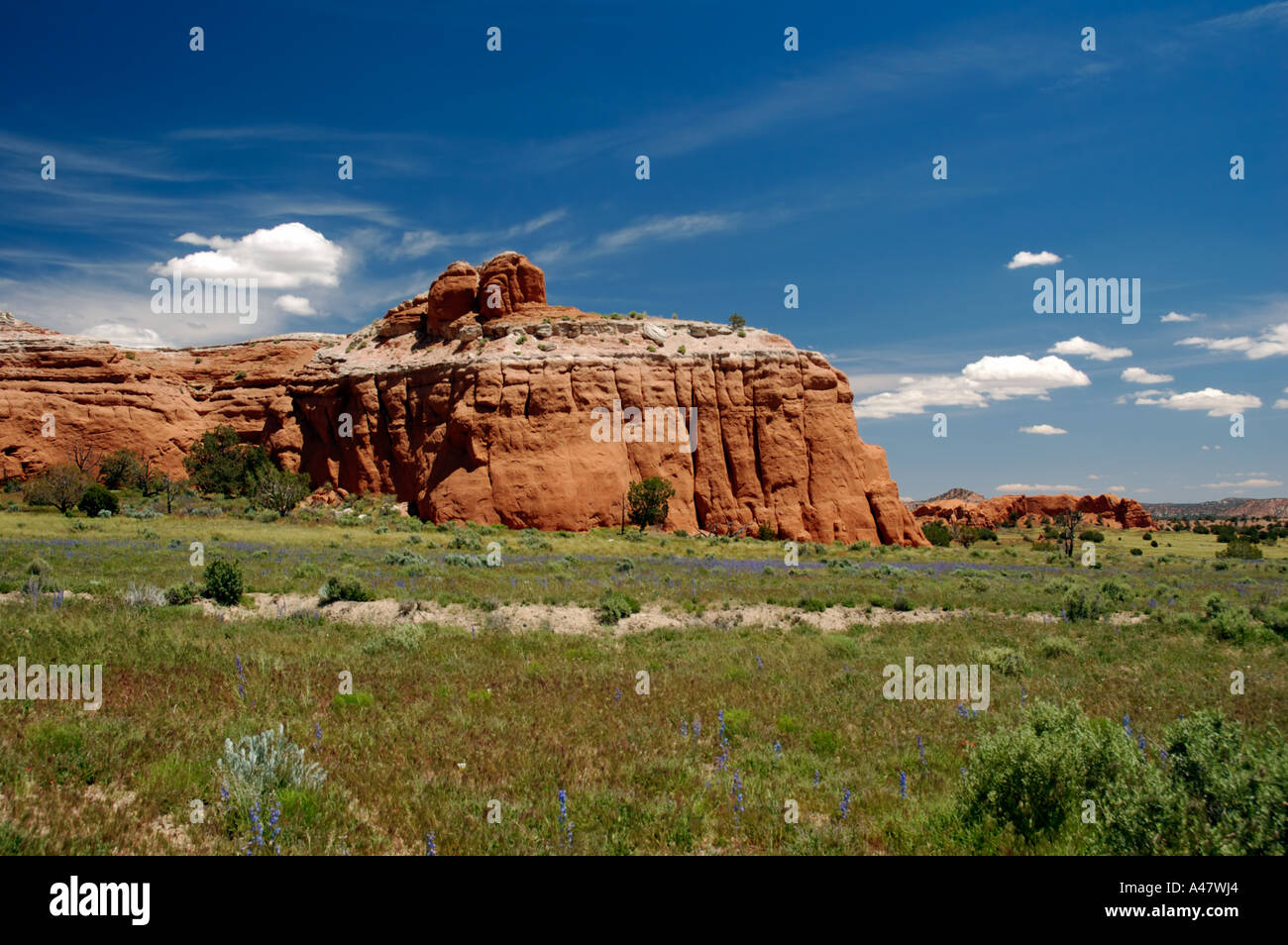 Ridge at Kodachrome Basin State Park Stock Photo - Alamy