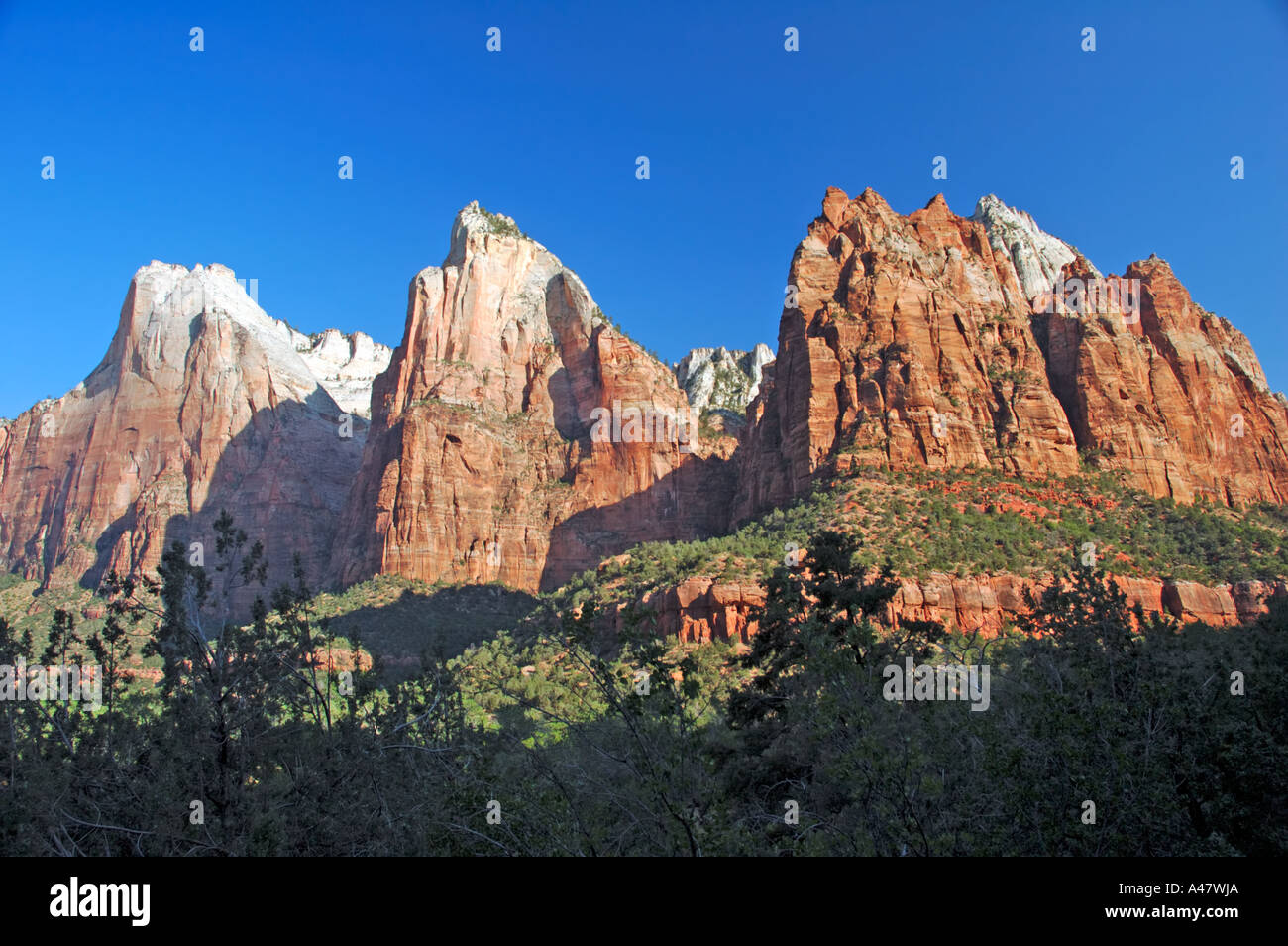 The Three Patriarchs at Zion National Park Stock Photo - Alamy
