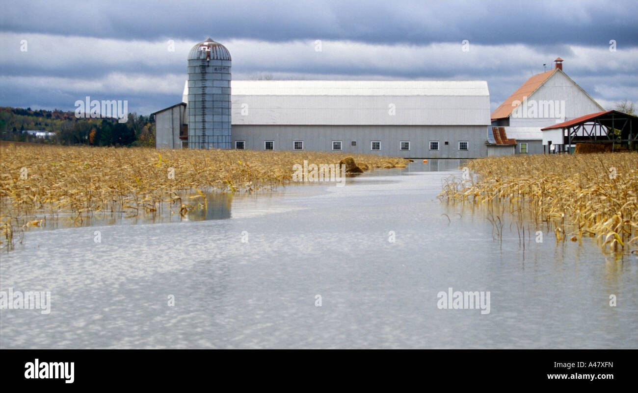 Flooding quebec hi-res stock photography and images - Alamy