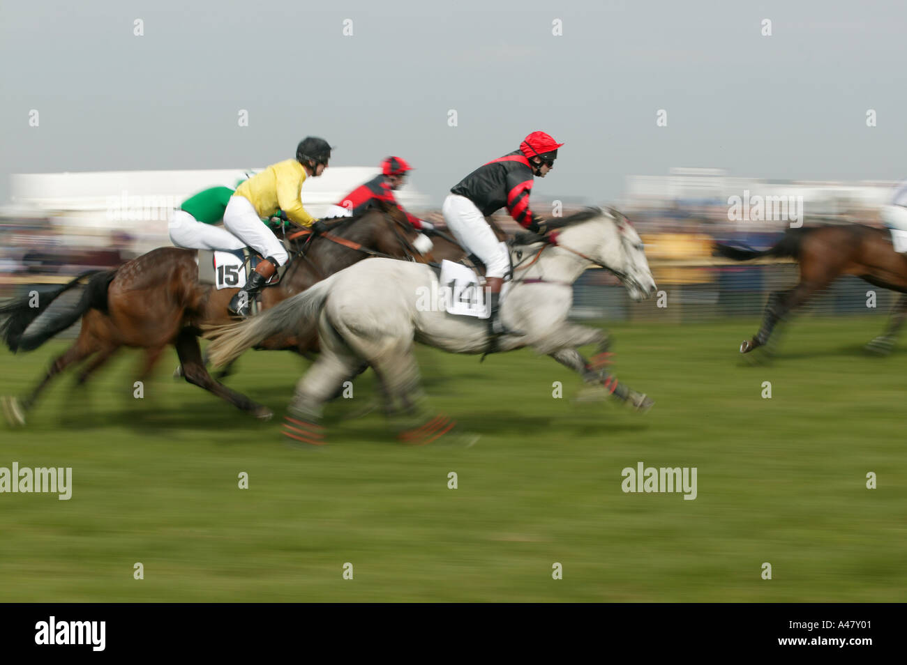horse racing at local rural race course Stock Photo - Alamy