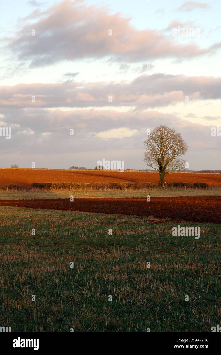 Gloucestershir hi-res stock photography and images - Alamy