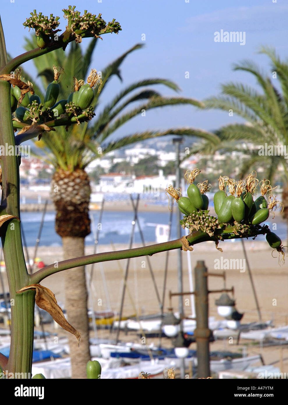 Panoramic view of the seafront & port of Sitges Catalonia Catalunya ...
