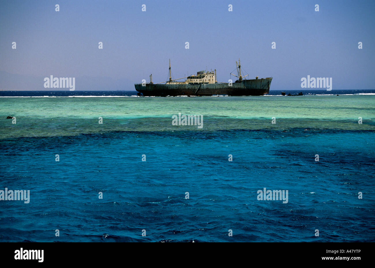Straits of tiran diving hi-res stock photography and images - Alamy