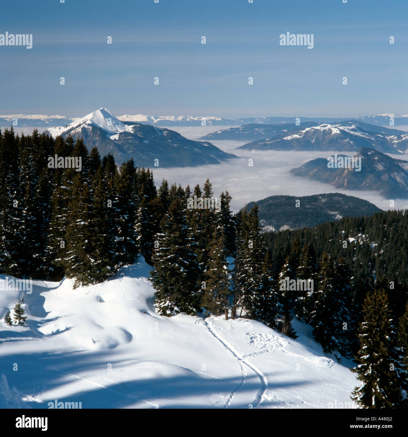 Chaine de Reposoir and Bargy from Col de Pierre Carree in winter Haute ...
