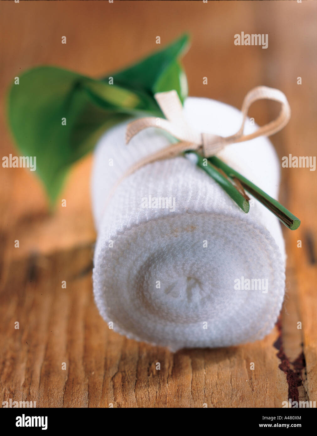 Gauze leaf hi-res stock photography and images - Alamy