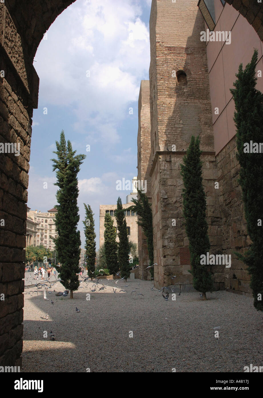 Side view of the Cathedral Catedral Barri Gótic Gothic Barcelona ...