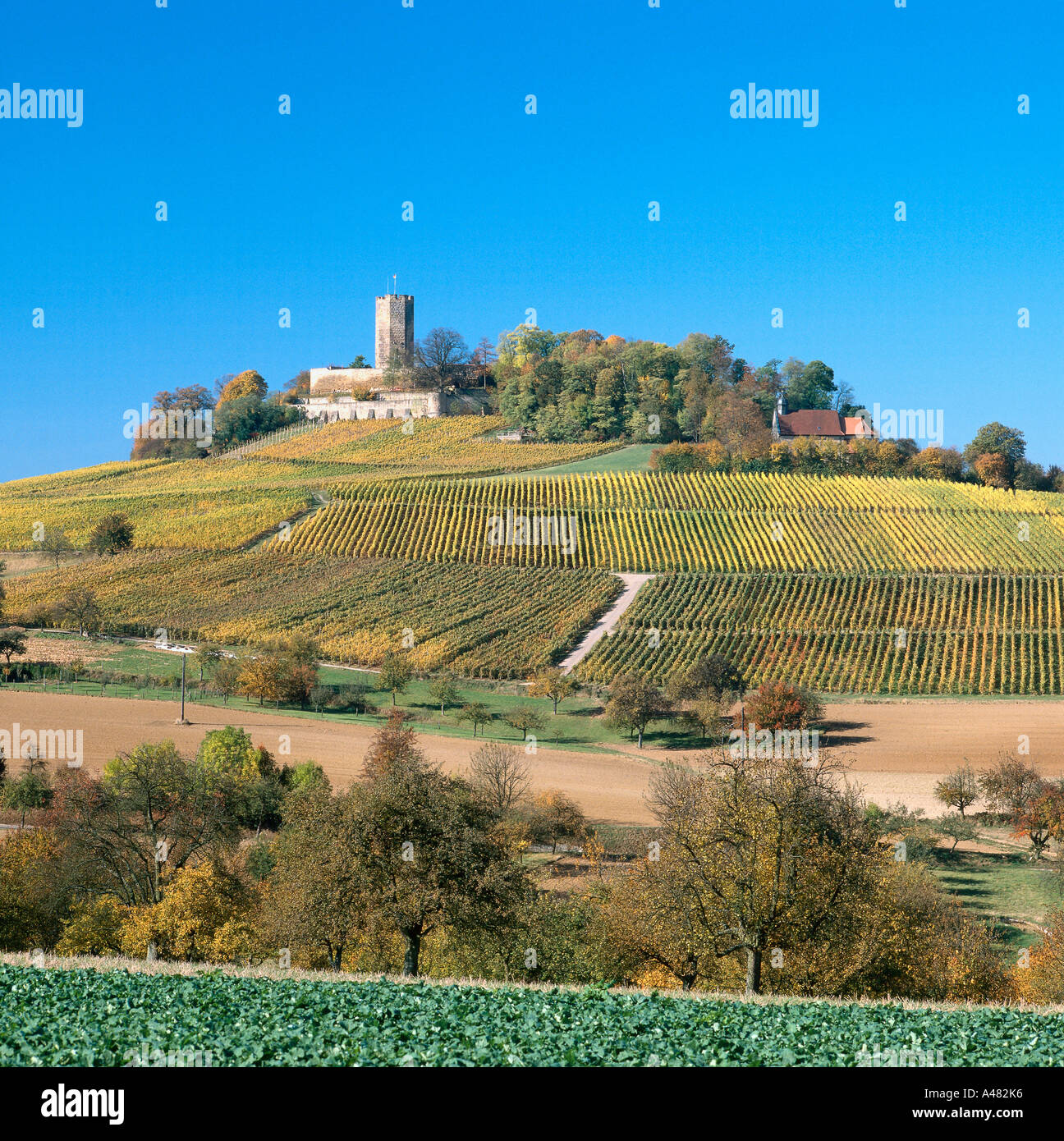 Steinsberg Castle High Resolution Stock Photography and Images - Alamy