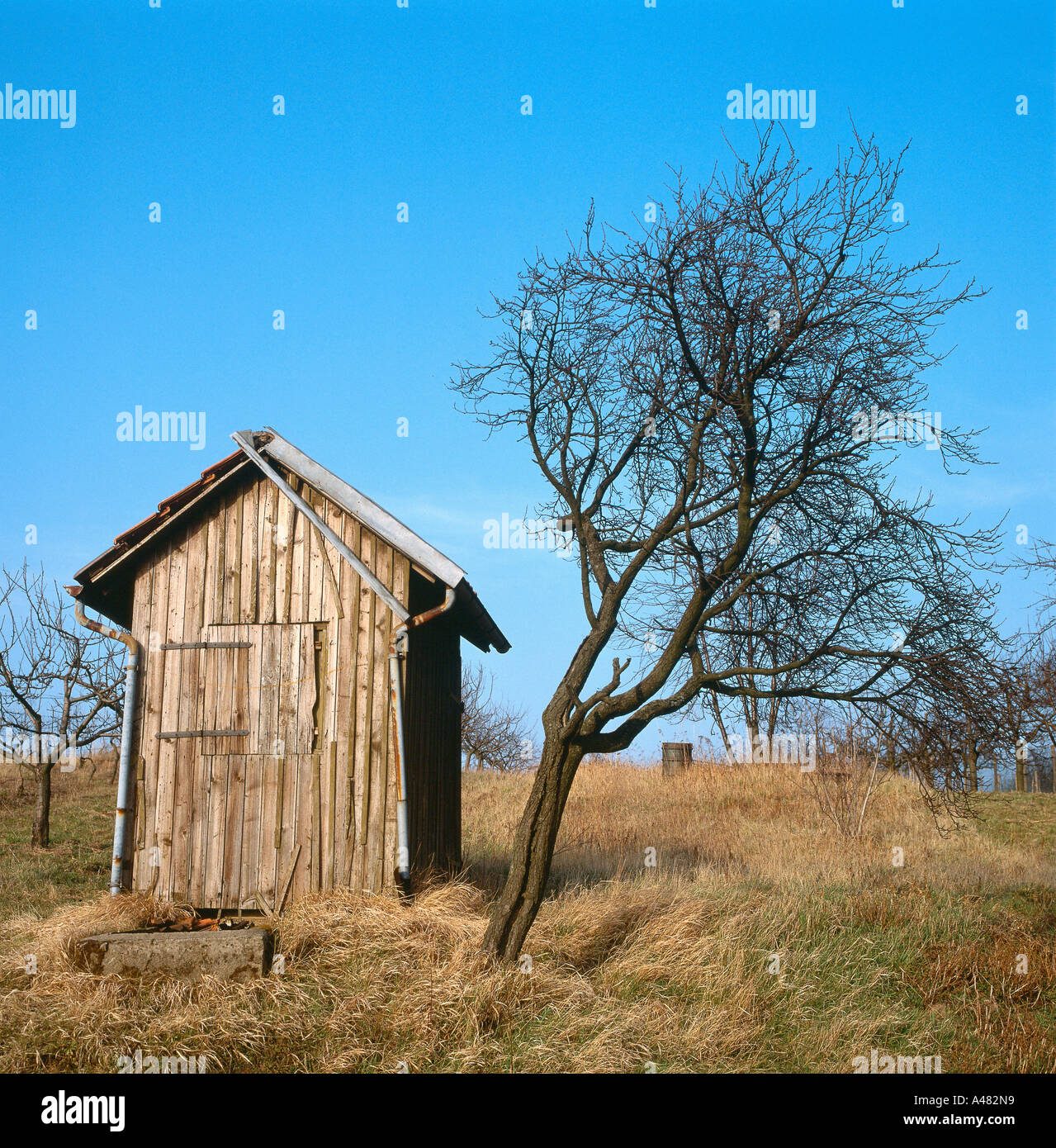 Hut and tree Stock Photo - Alamy