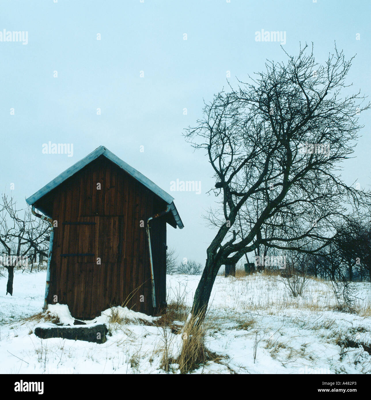 Hut with tree hi-res stock photography and images - Alamy