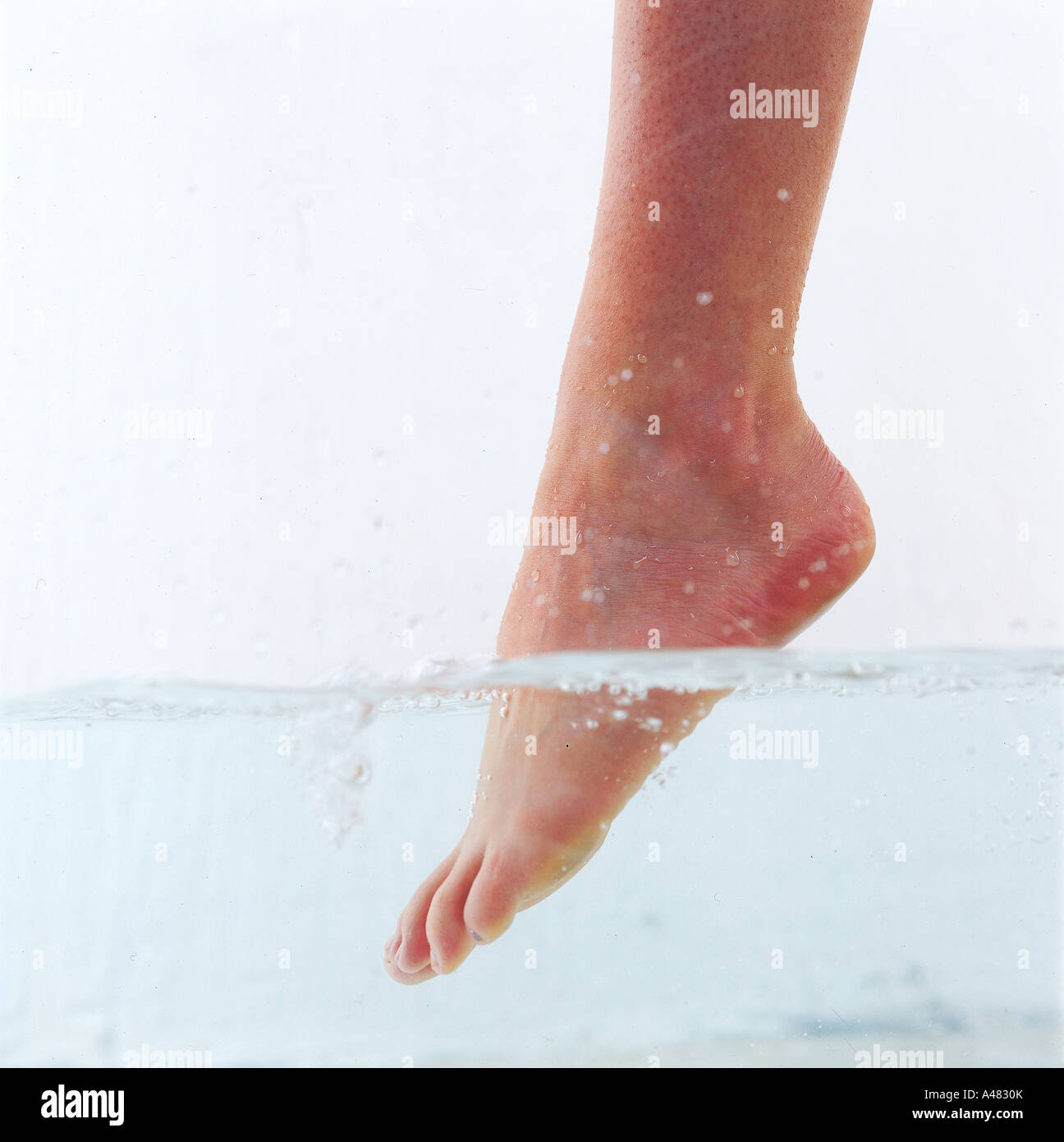 Close-up of a human foot in water Stock Photo - Alamy