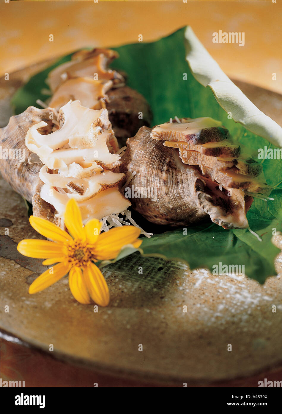 High angle view of stir fried conch Stock Photo - Alamy