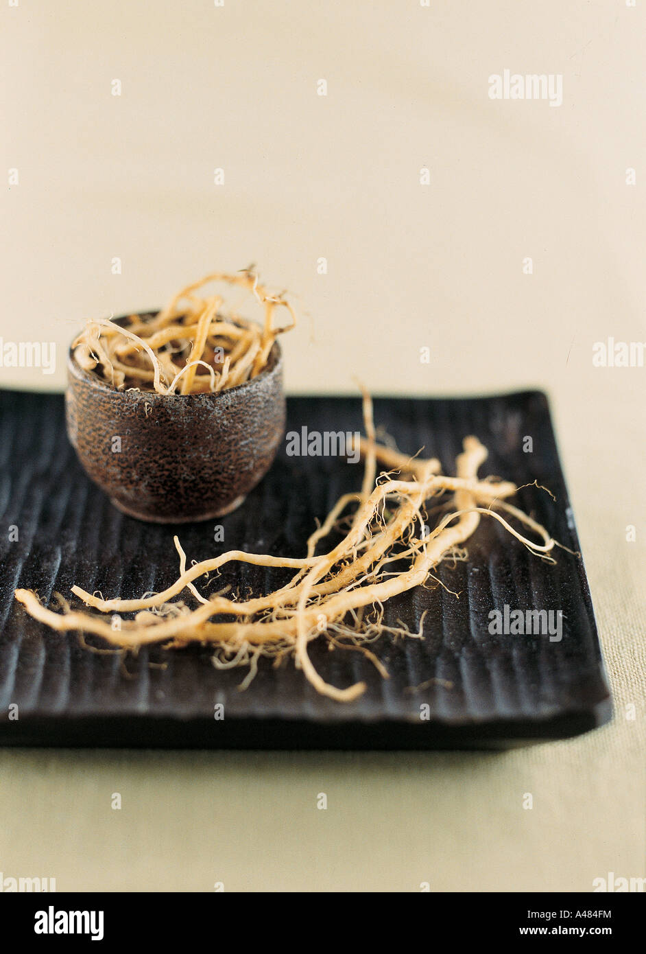 Close-up of plant roots on a tray Stock Photo - Alamy