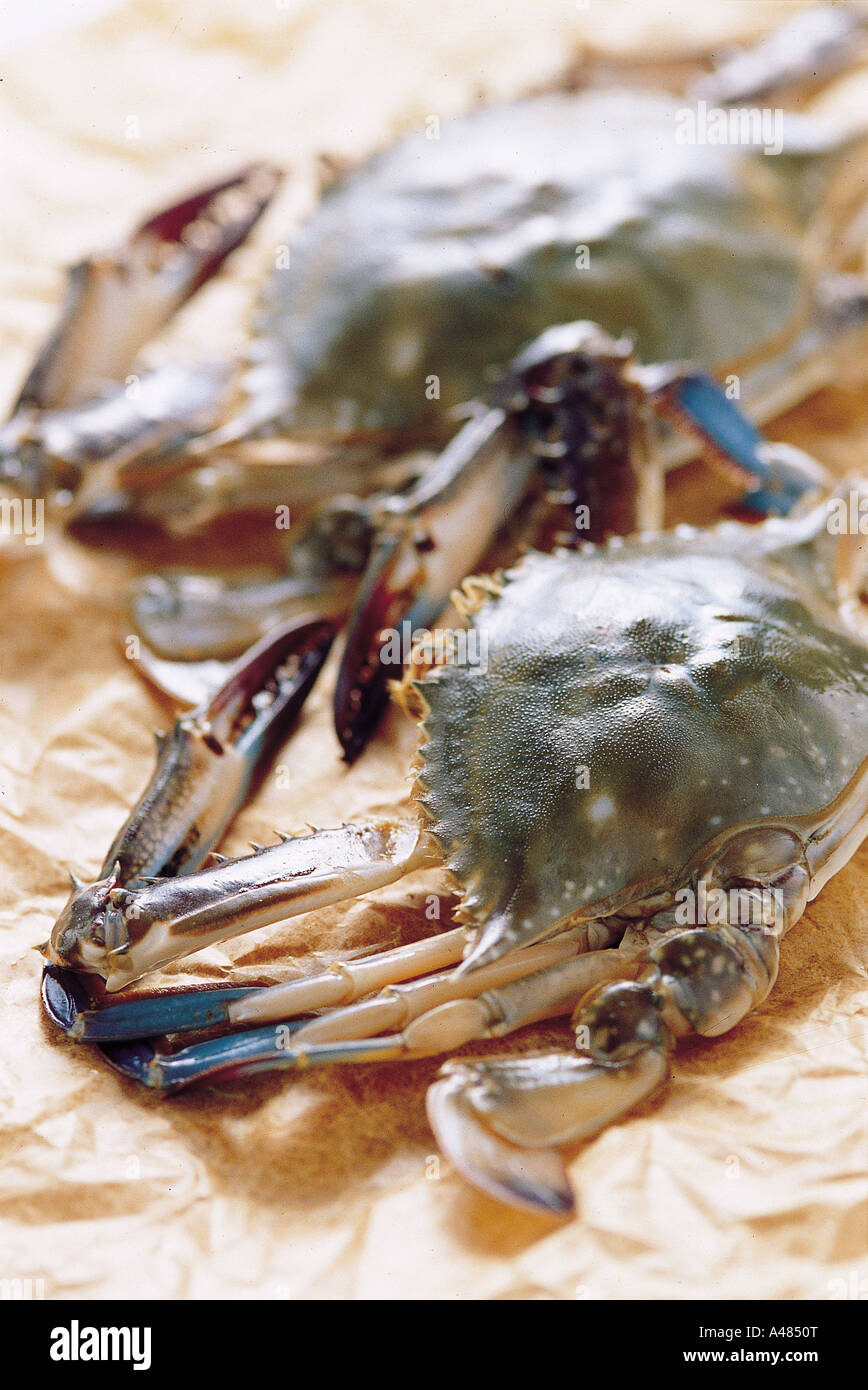 Two crabs hi-res stock photography and images - Alamy