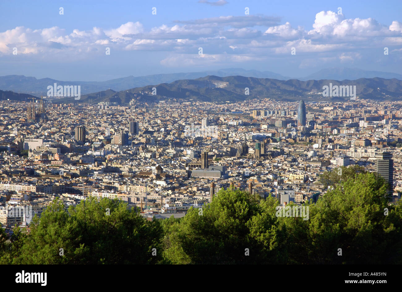 Panoramic view of Barcelona from Montjuïc Montjuic Park Barça Catalunya ...