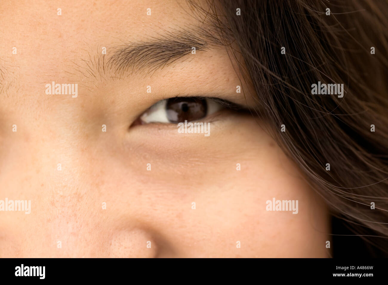 Human eye, full frame Stock Photo - Alamy