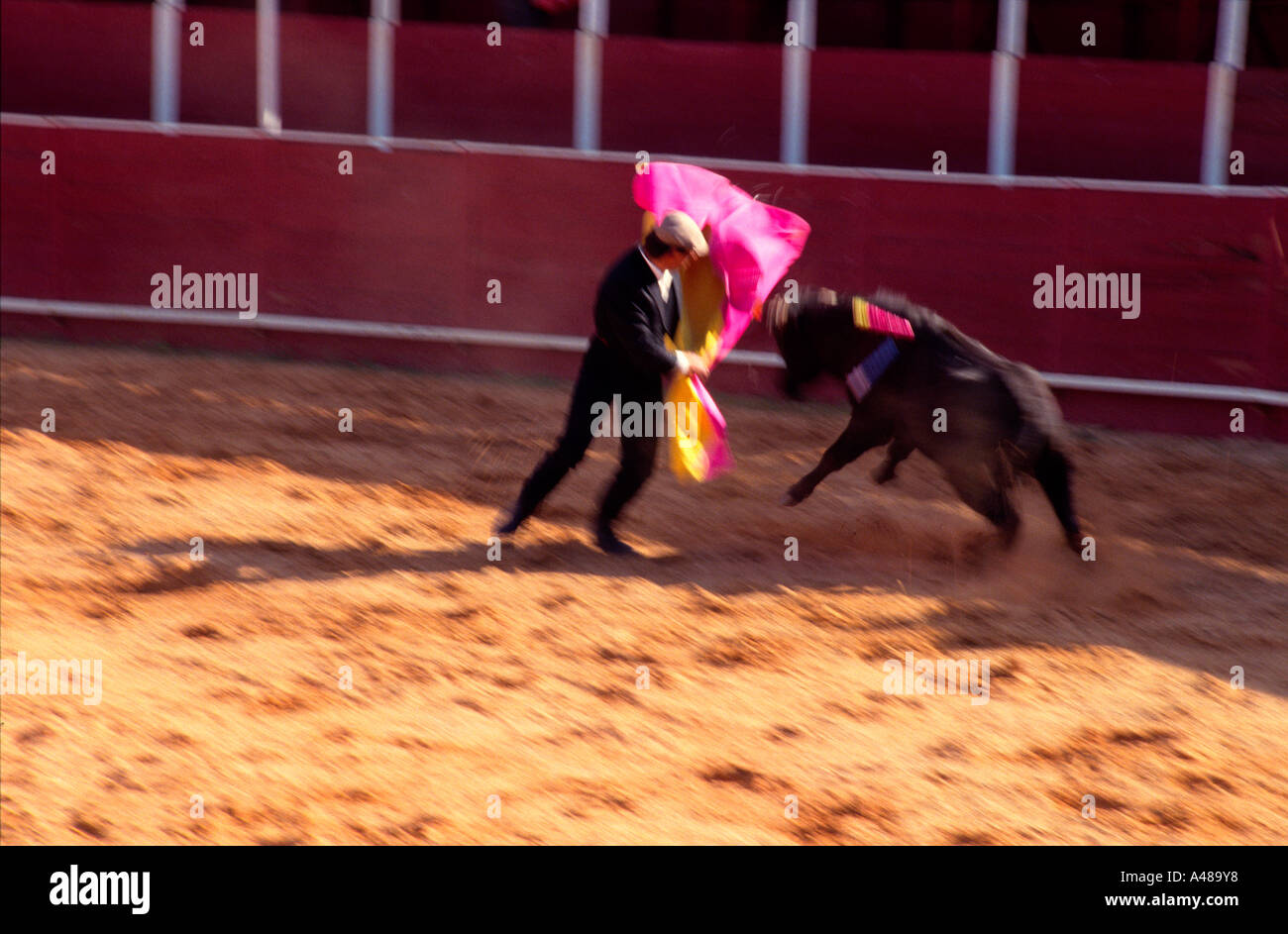 Tourada portuguese hi-res stock photography and images - Alamy