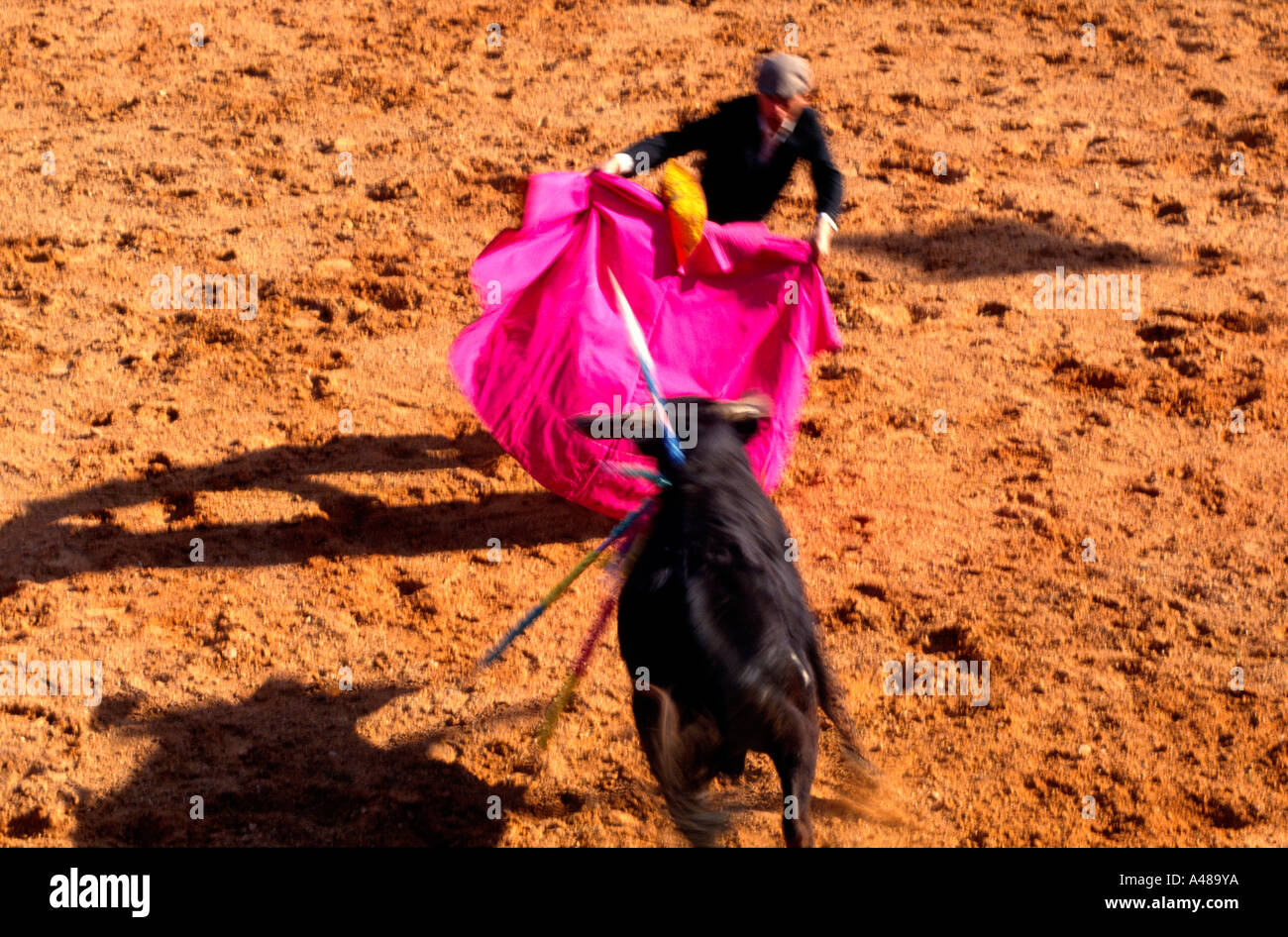 Portuguese bullfight / Tourada Stock Photo - Alamy